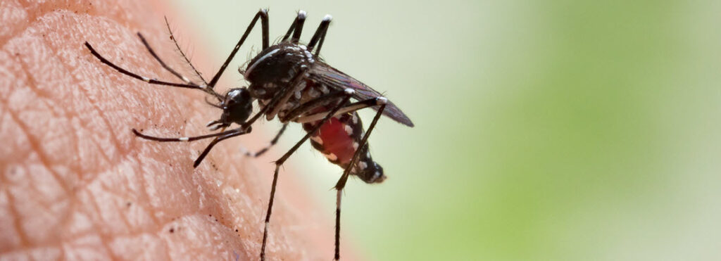 What Happens When You Swallow a Bug - Your Pathologist